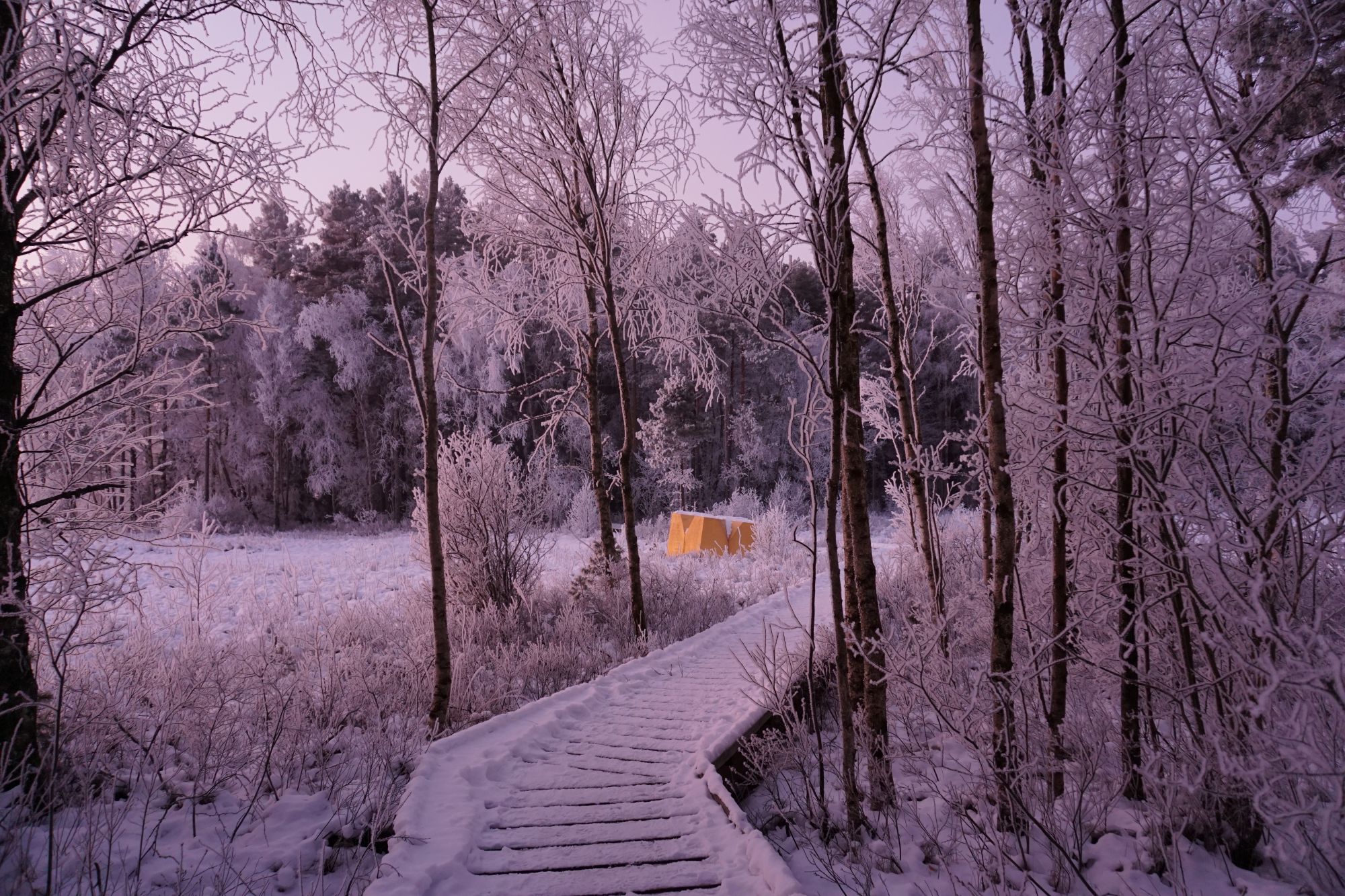 Januari och februari på Store Mosse - Startsida